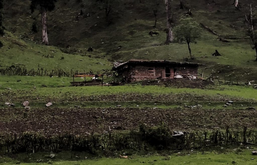 Part II: Gujjar-Bakerwal community in Jammu and Kashmir face depleted ...