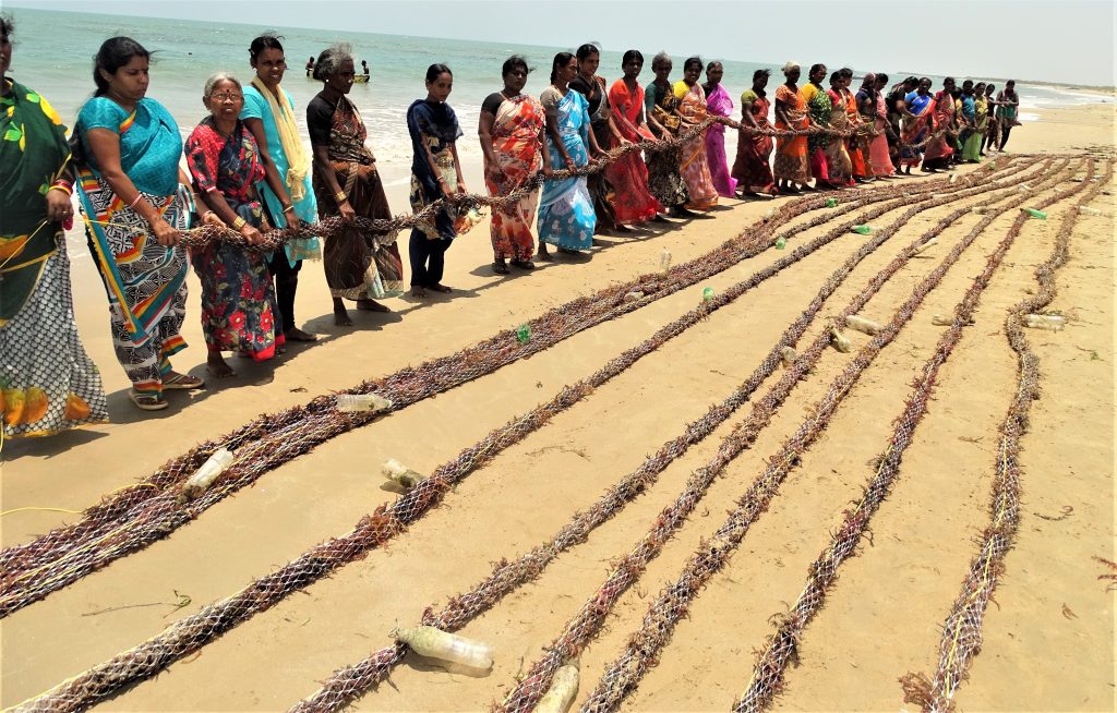 How coastal inhabitants of India make a living through seaweed ...